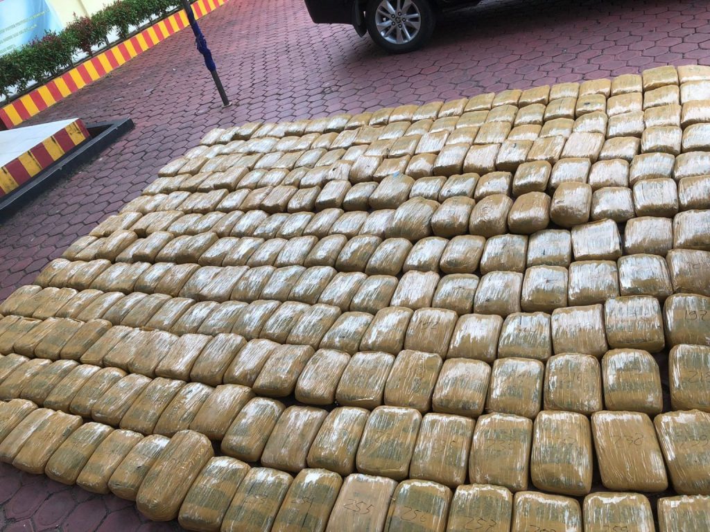 Polisi Gagalkan Peredaran Ganja 1 2 Ton Untuk Nataru Di Jakarta Jawa