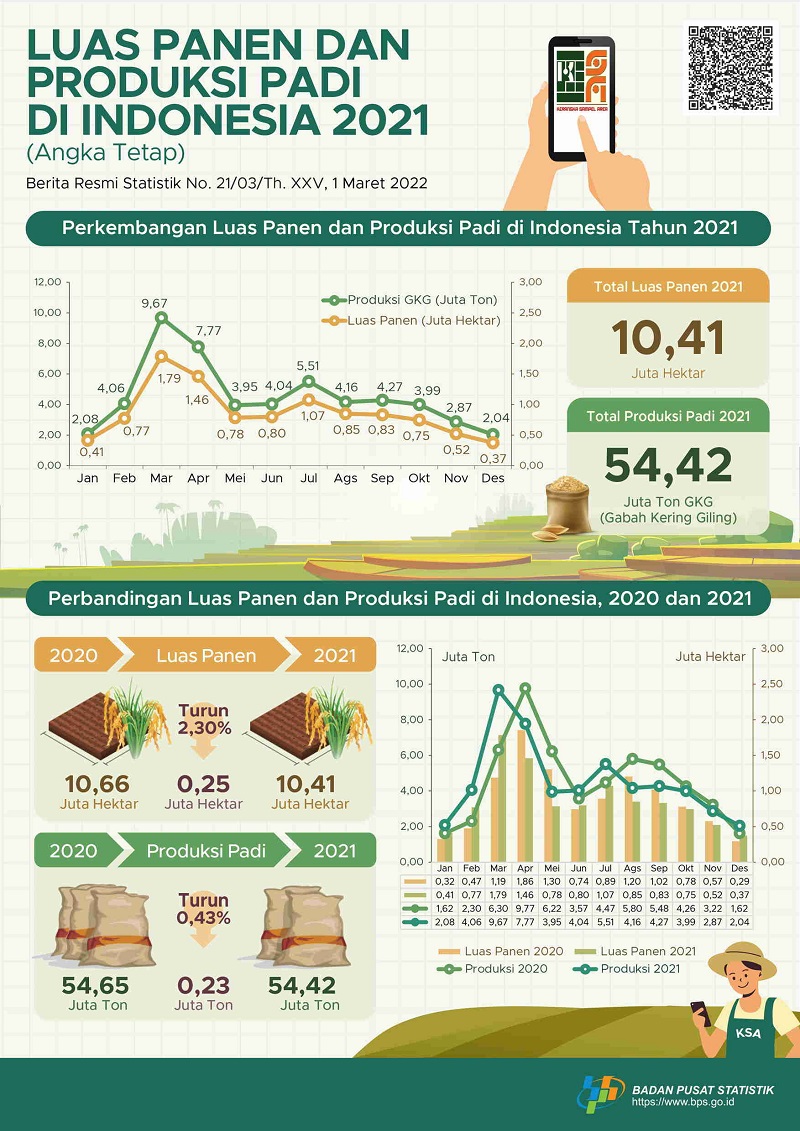 Dibandingkan 2020 Produksi Beras Tahun 2021 Turun 140 730 Ton Niaga Asia
