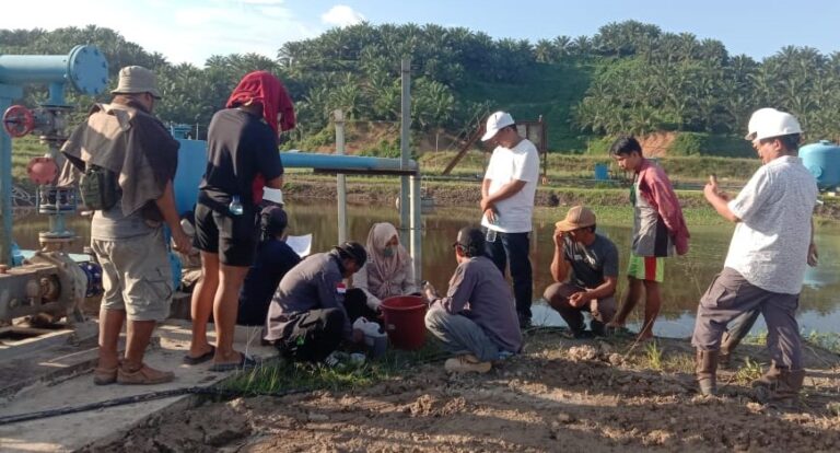 Kolam Limbah PT NBS Diduga Jebol, Air Sungai Sebuku Tercemar - Niaga.Asia